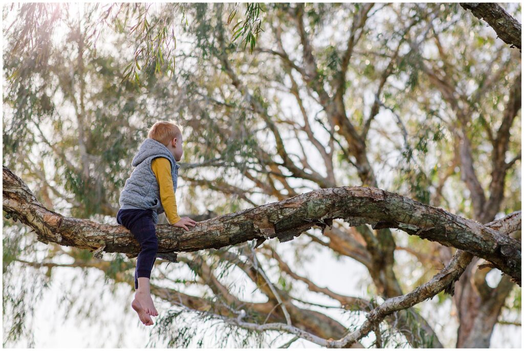 Mackay Parks | Your ultimate parks and playground guide